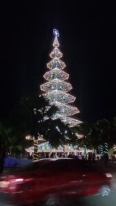 Tallest Christmas Tree - Tagum City